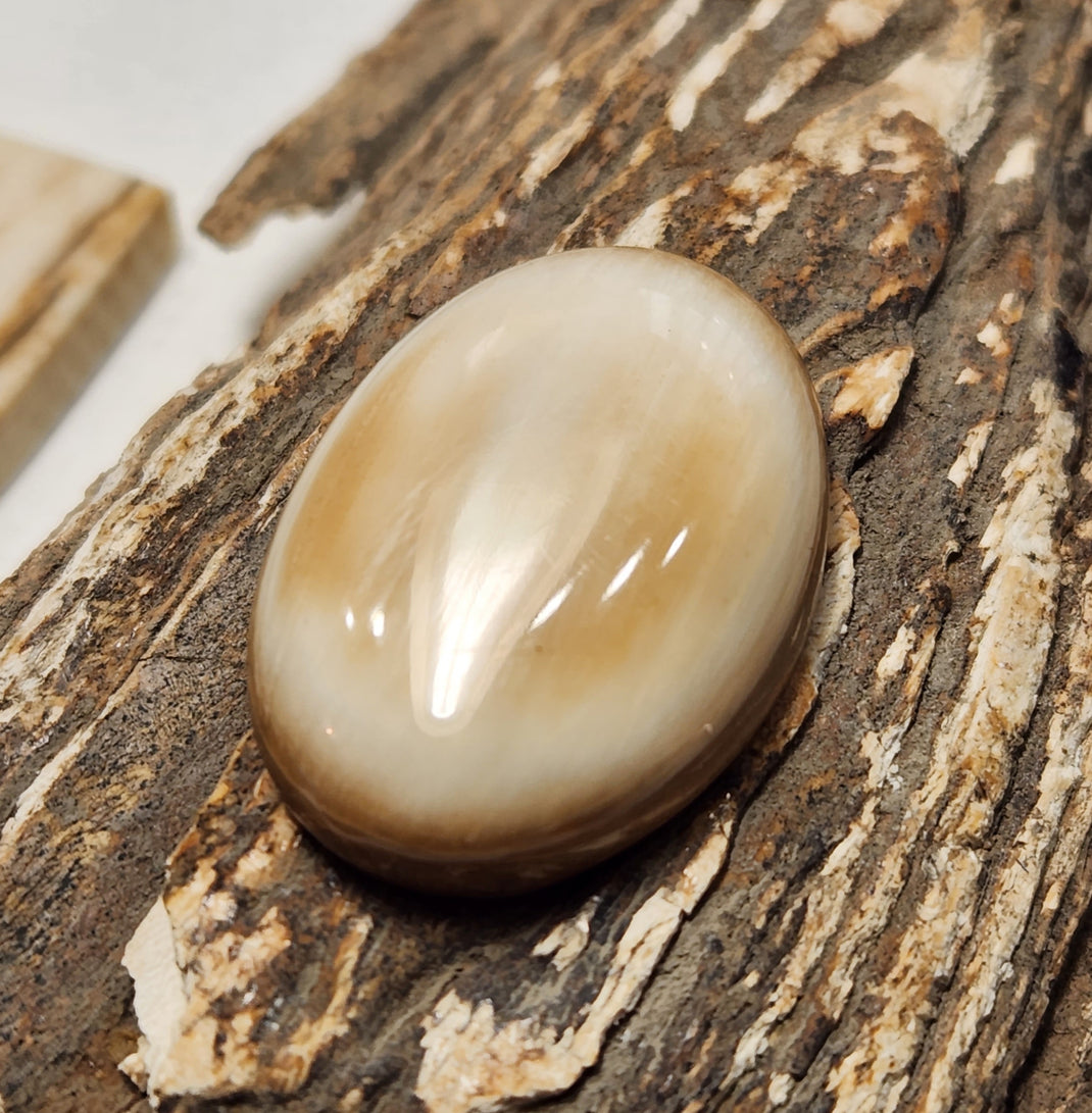 The latest Ice Age Treasures made with Boneyard Alaska Materials – I T ...