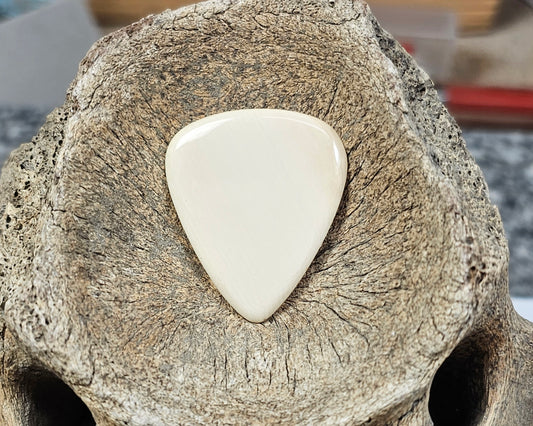 Woolly Mammoth Ivory Guitar Picks – IceAge Treasures