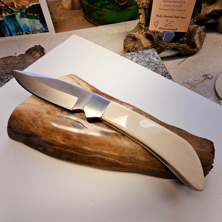 Ice Age Treasures created by Kristin R. Park Boneyard Alaska – IceAge ...