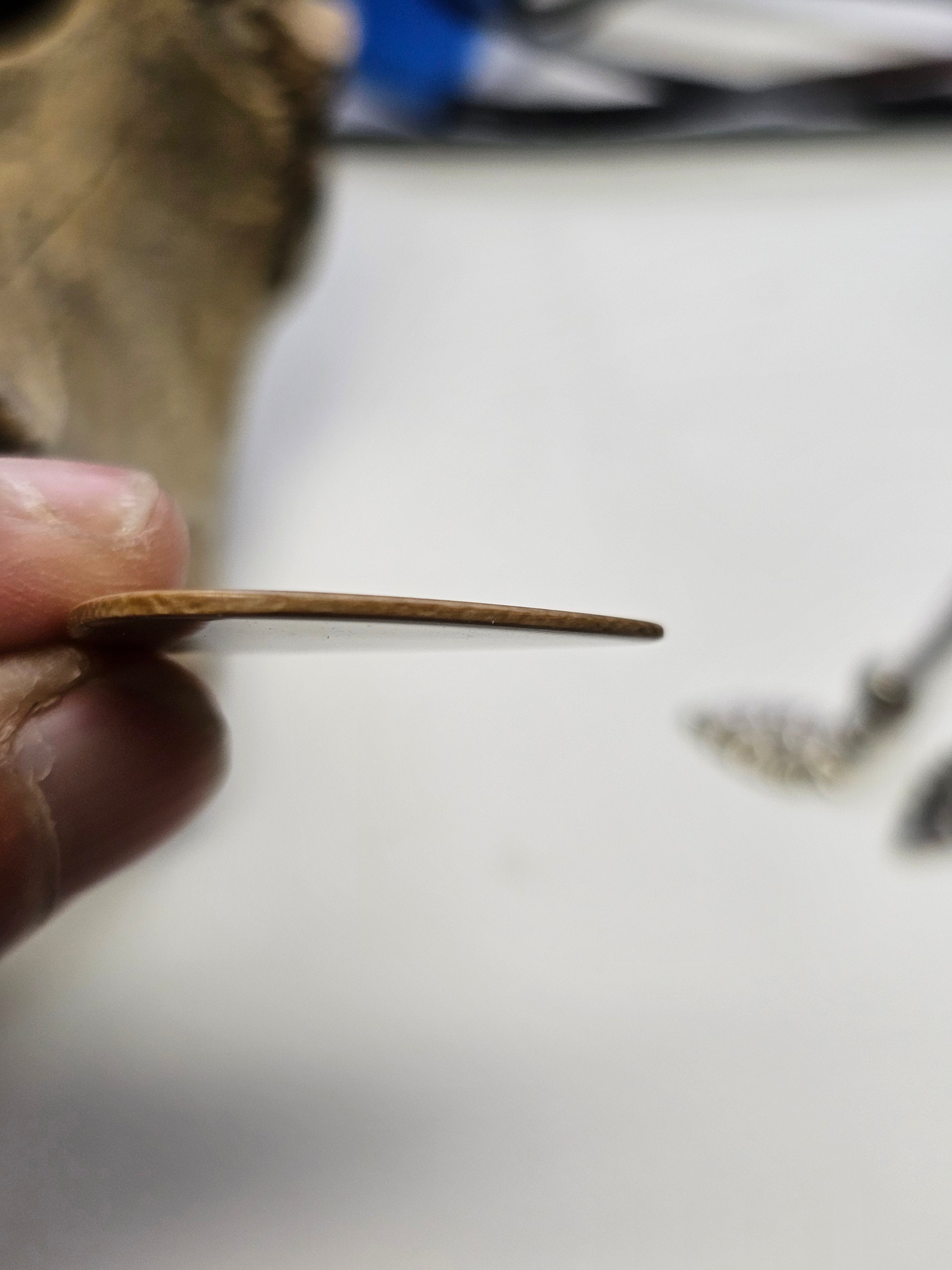 Ice Age Treasures created by Kristin R. Park Boneyard Alaska – IceAge ...